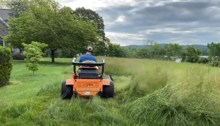 Lawn Service San Antonio Lawn Care San Antonio Lawn Mow